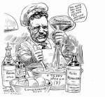 The 1912 Progressive Party: Who Was in It and What Did They Stand For ...